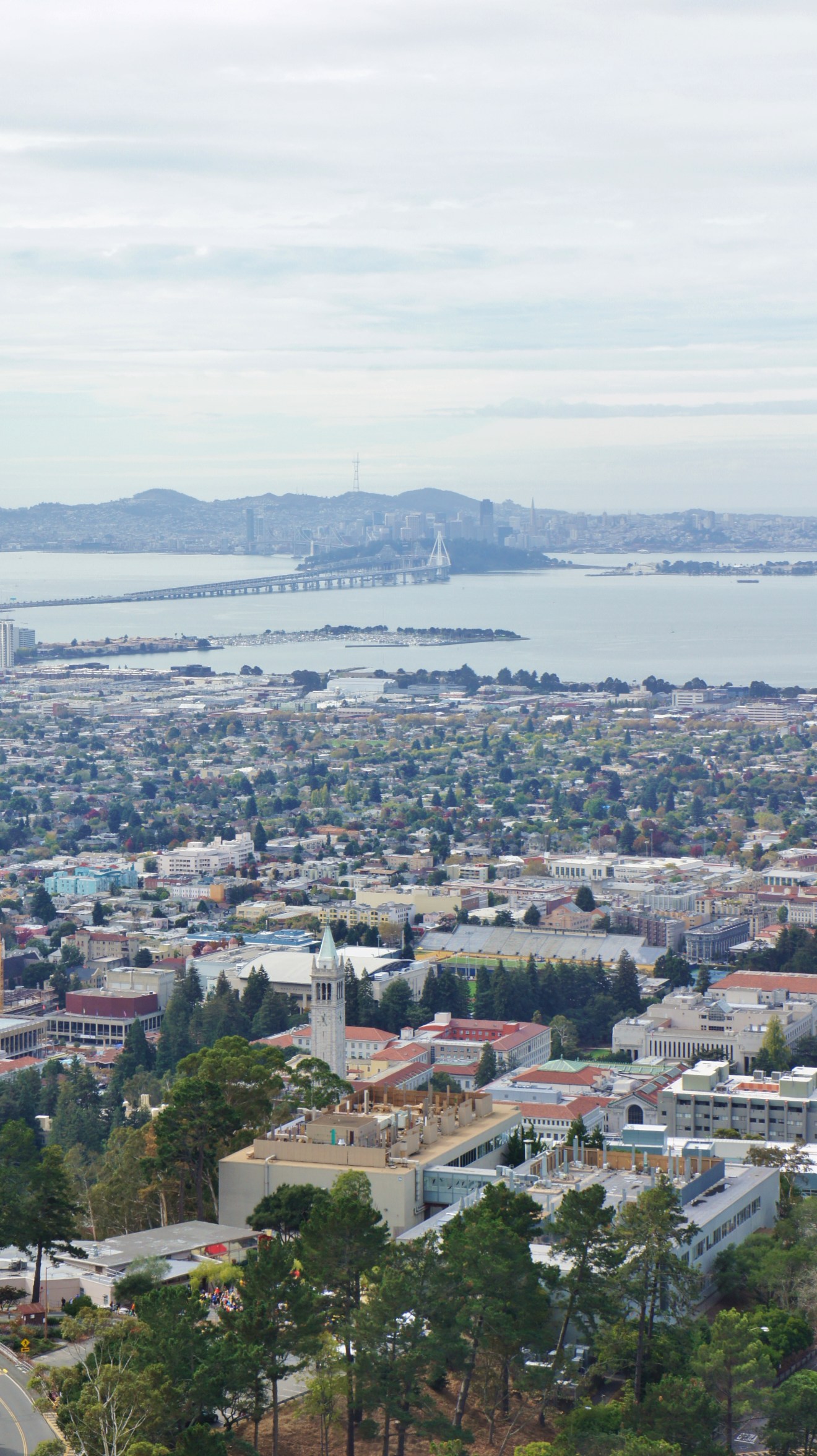 berkeley birthday – Kate's Plate